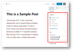 What Are The Differences Between WordPress Posts And Pages In WordPress