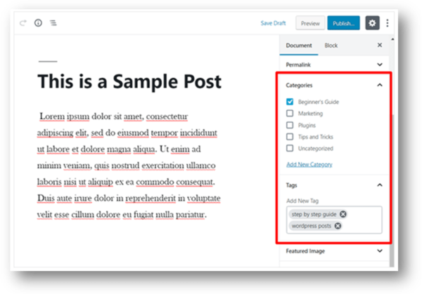 What Are The Differences Between WordPress Posts And Pages In WordPress